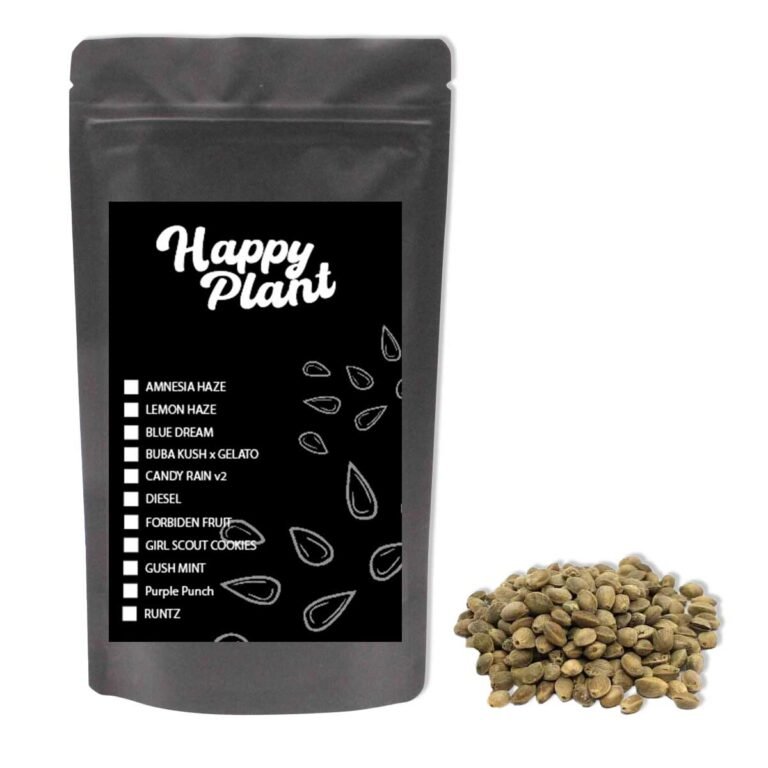 Amnesia Haze – Seeds – Happy Plant - Cannabuben Grow
